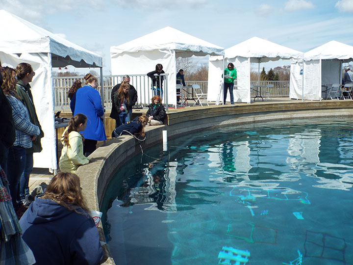 AHS wins ROV contest | News, Sports, Jobs - The Alpena News